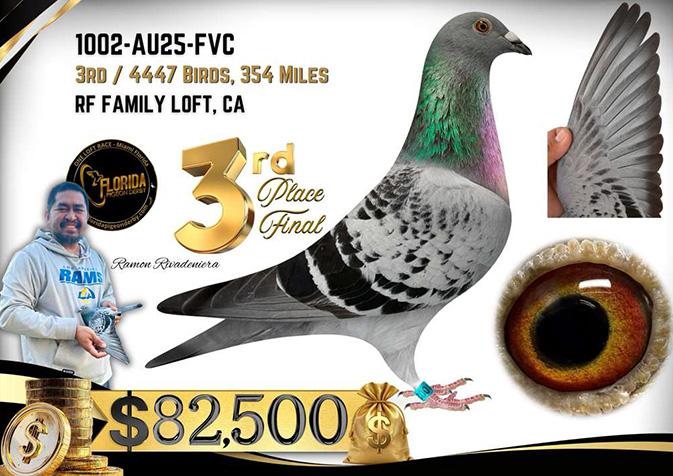 Florida Pigeon Derby - Home