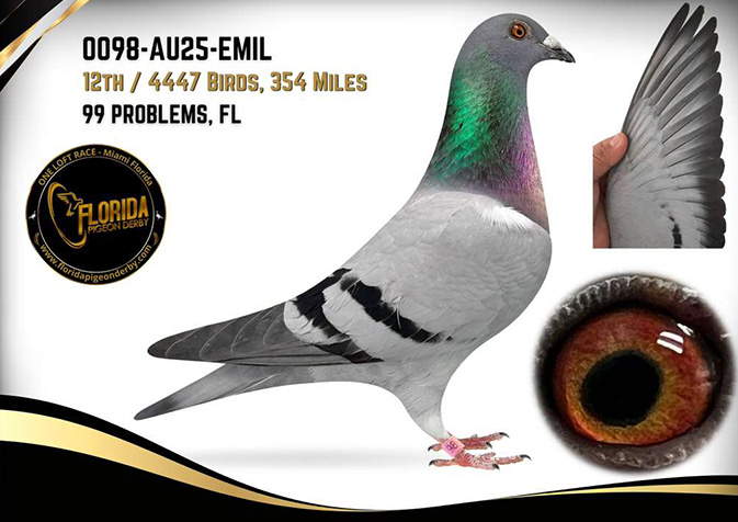 Florida Pigeon Derby - Home