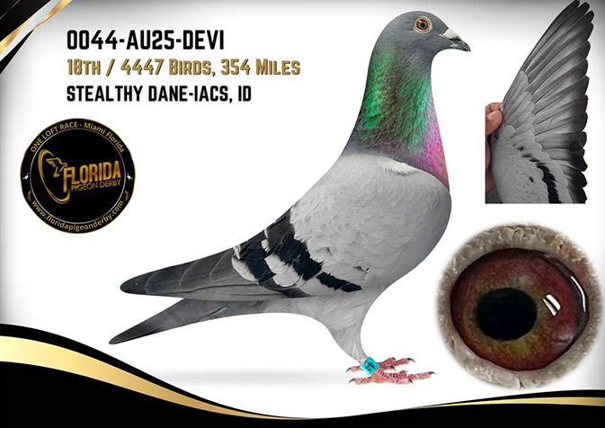 Florida Pigeon Derby - Home